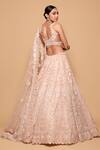 Buy Pallavi Poddar Peach Tulle Beta Mirror Embroidered Lehenga Set ...