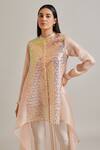 Buy Pankaj & Nidhi Beige Silk Organza Ostara Geometric Applique ...