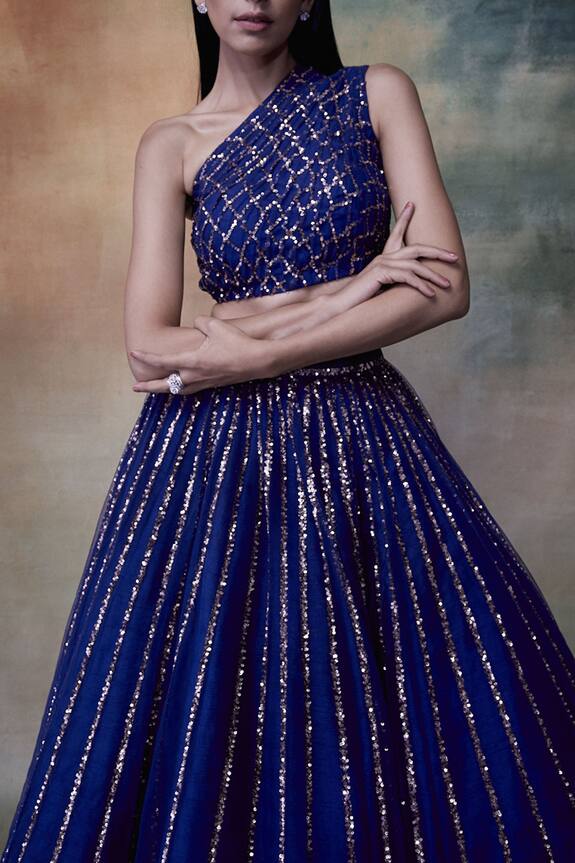 Buy Vvani by Vani Vats Blue Net Embroidered Lehenga Set Online | Aza ...