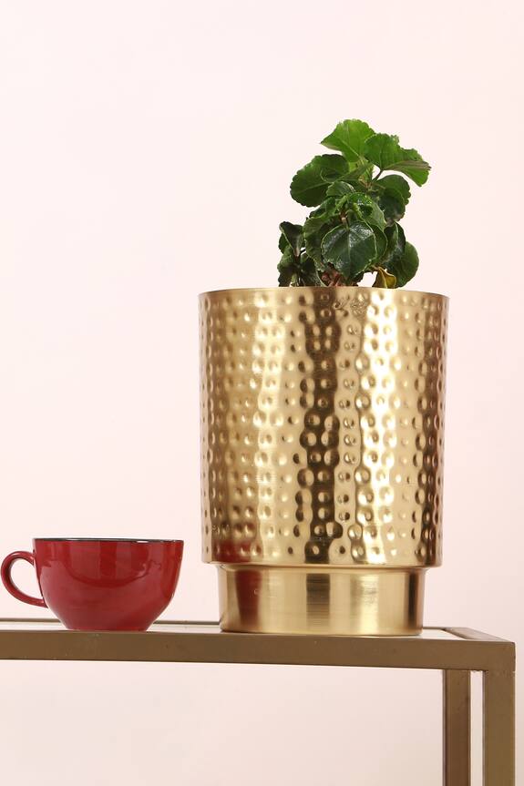 Buy Manor House Textured Table Planter Online | Aza Fashions