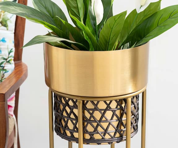 Buy The Decor Remedy Midas Touch Handwork Cane Planters (Set of 2 ...