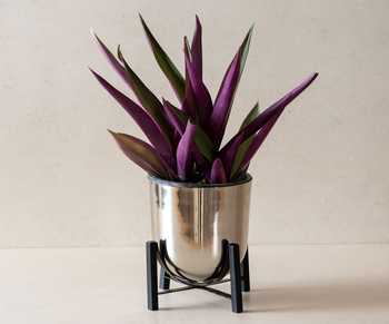 Buy The Decor Remedy Micro Table Planter With Stand Online | Aza Fashions