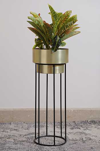 Buy Amoli Concepts Circular Shaped Iron Planter Online | Aza Fashions