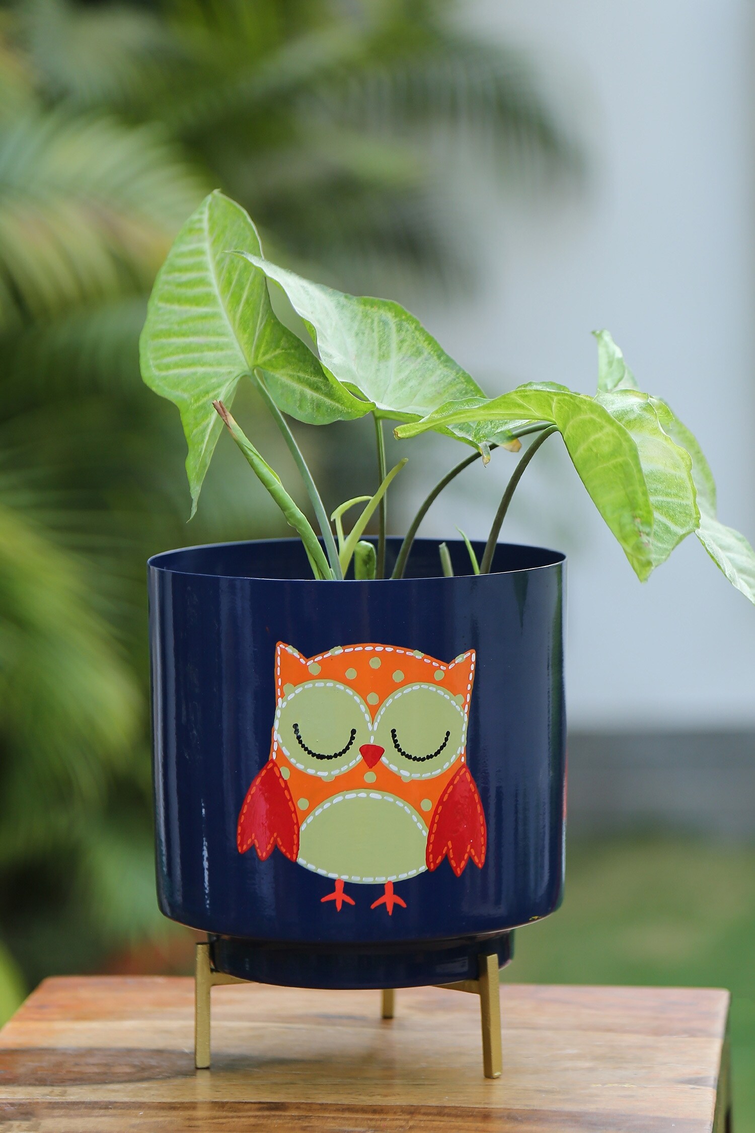 Buy Amoli Concepts Owl Design Hand Painted Planter Online | Aza Fashions