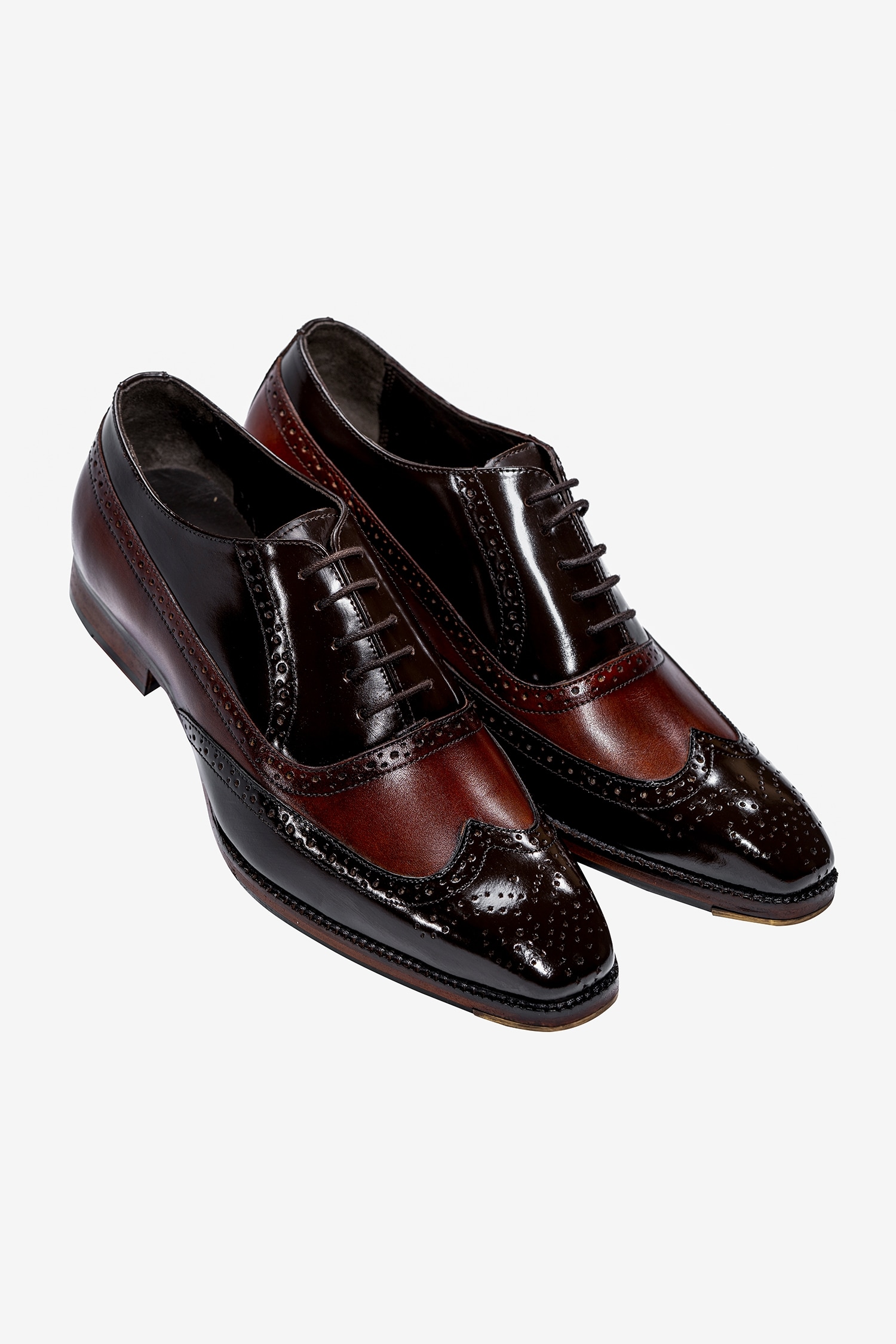 Buy Brown Longwing Brogue Lace-up Shoes For Men by Amrit Dawani Online ...