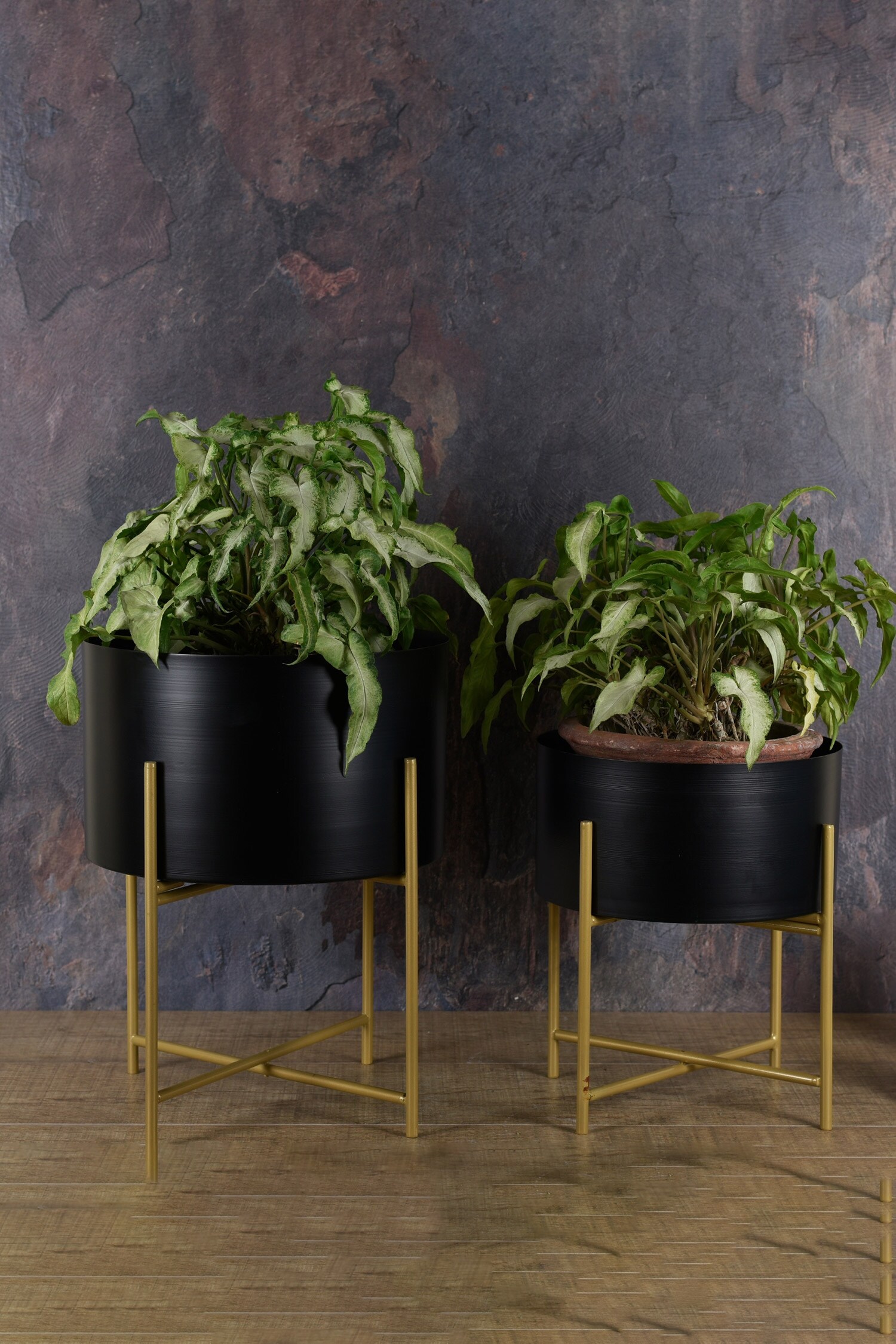 Buy Manor House Planter With Detachable Stand (single Pc) Online | Aza ...