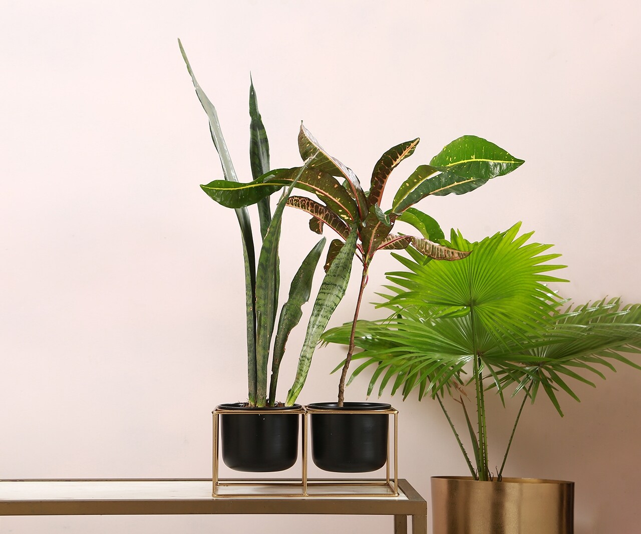 Buy MANOR HOUSE Metal Twin Pots With Stand Online | Aza Fashions