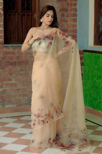 Buy Brown Imported Pure Silk Organza Hand Painted The Padmini Saree For ...
