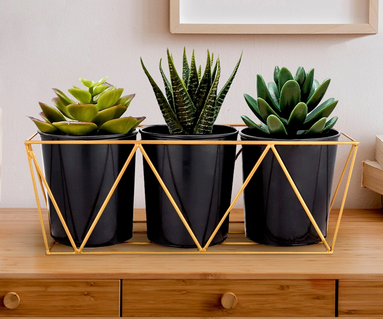 Buy Green Girgit Herb Set Round Planter With Tray (Set of 3) Online ...