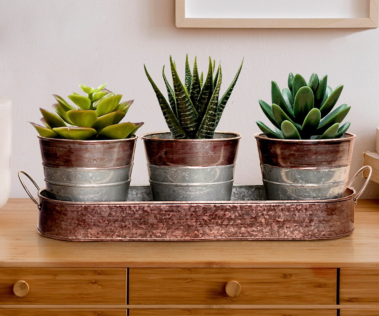 Buy Green Girgit Herb Set Round Planter With Tray (Set of 3) Online ...