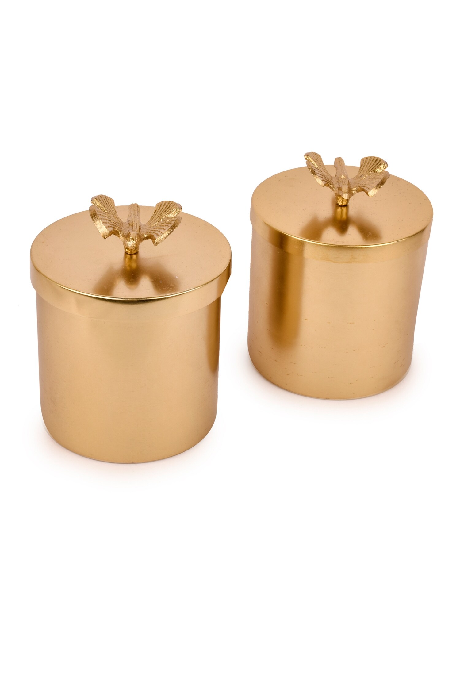 MANOR HOUSE Gold Iron Jars With Water Fly Lid Set Of 2