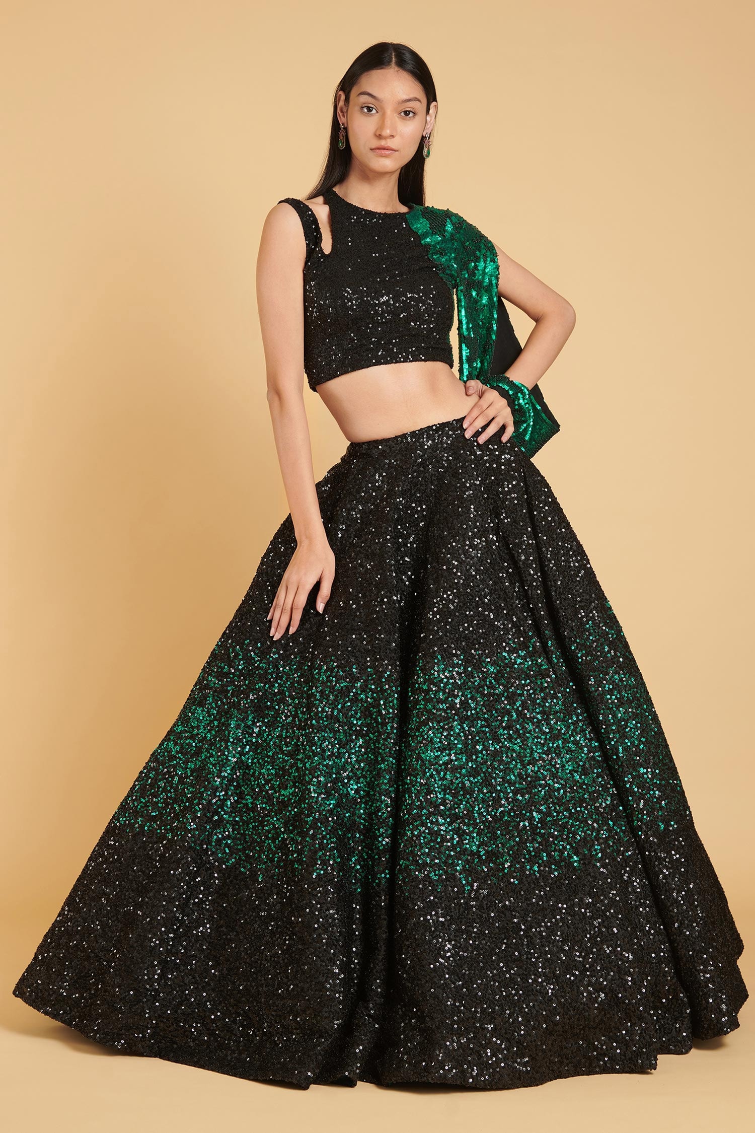 Buy Black Crop Top: Georgette Embroidered Crystal Lehenga And Blouse ...